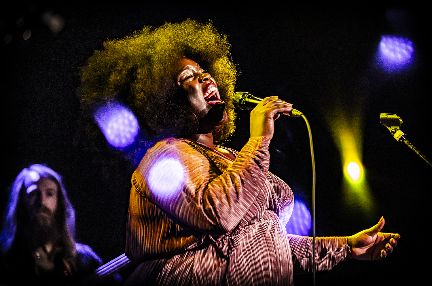 Yola's Tango, Part 2: Brooklyn - Magnet Magazine