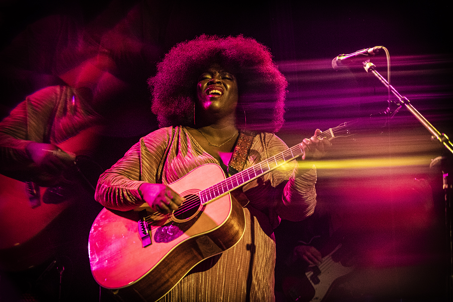 Yola's Tango, Part 2: Brooklyn - Magnet Magazine