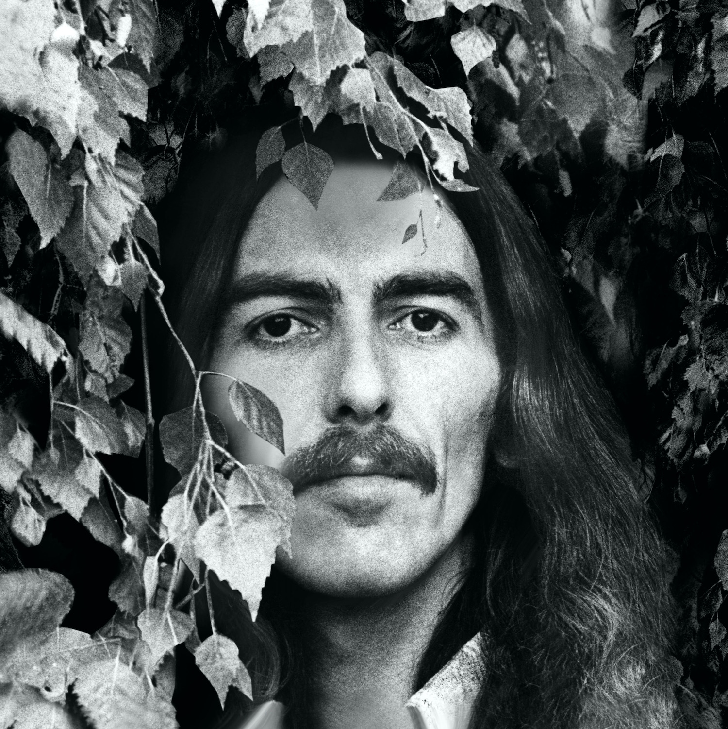 Happy Birthday George Harrison (Beatles) - Magnet Magazine
