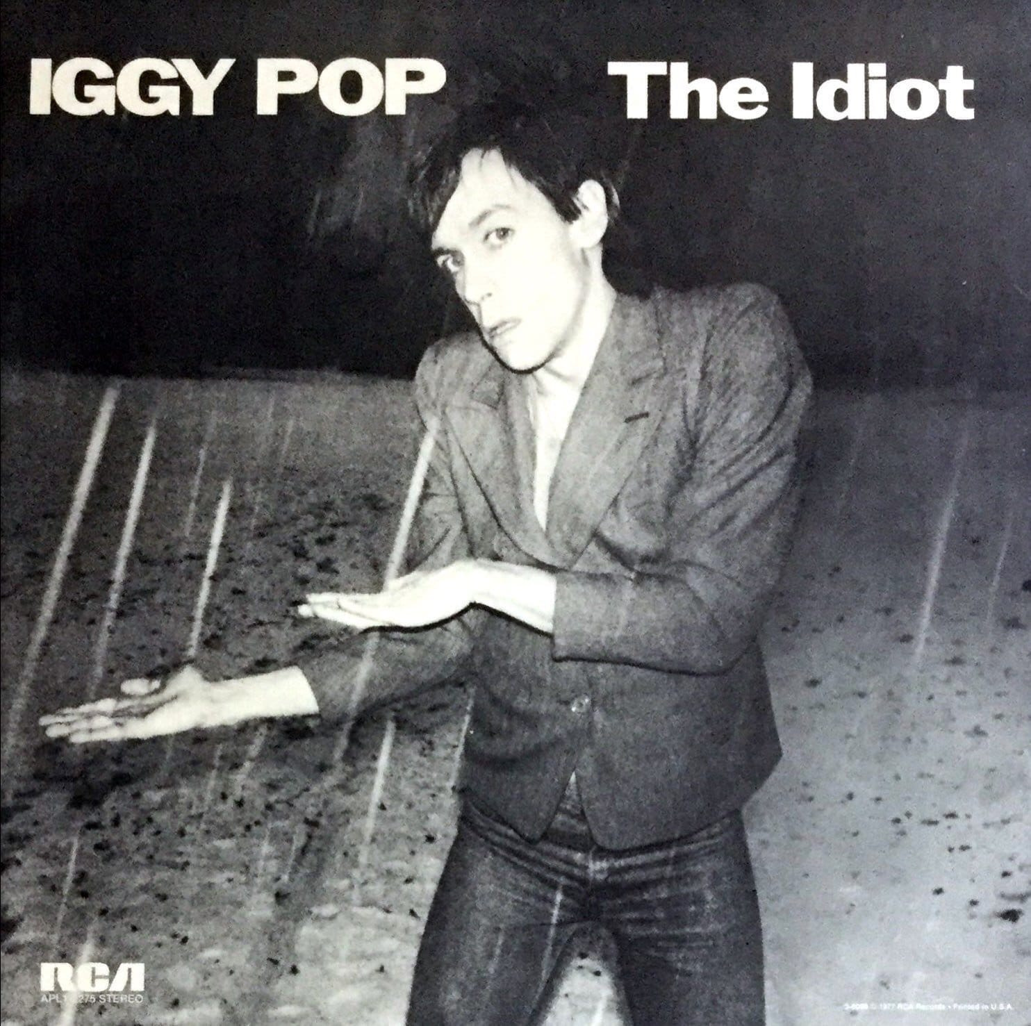 Iggy Pop Released Debut Album "The Idiot" 45 Years Ago Today - Magnet ...