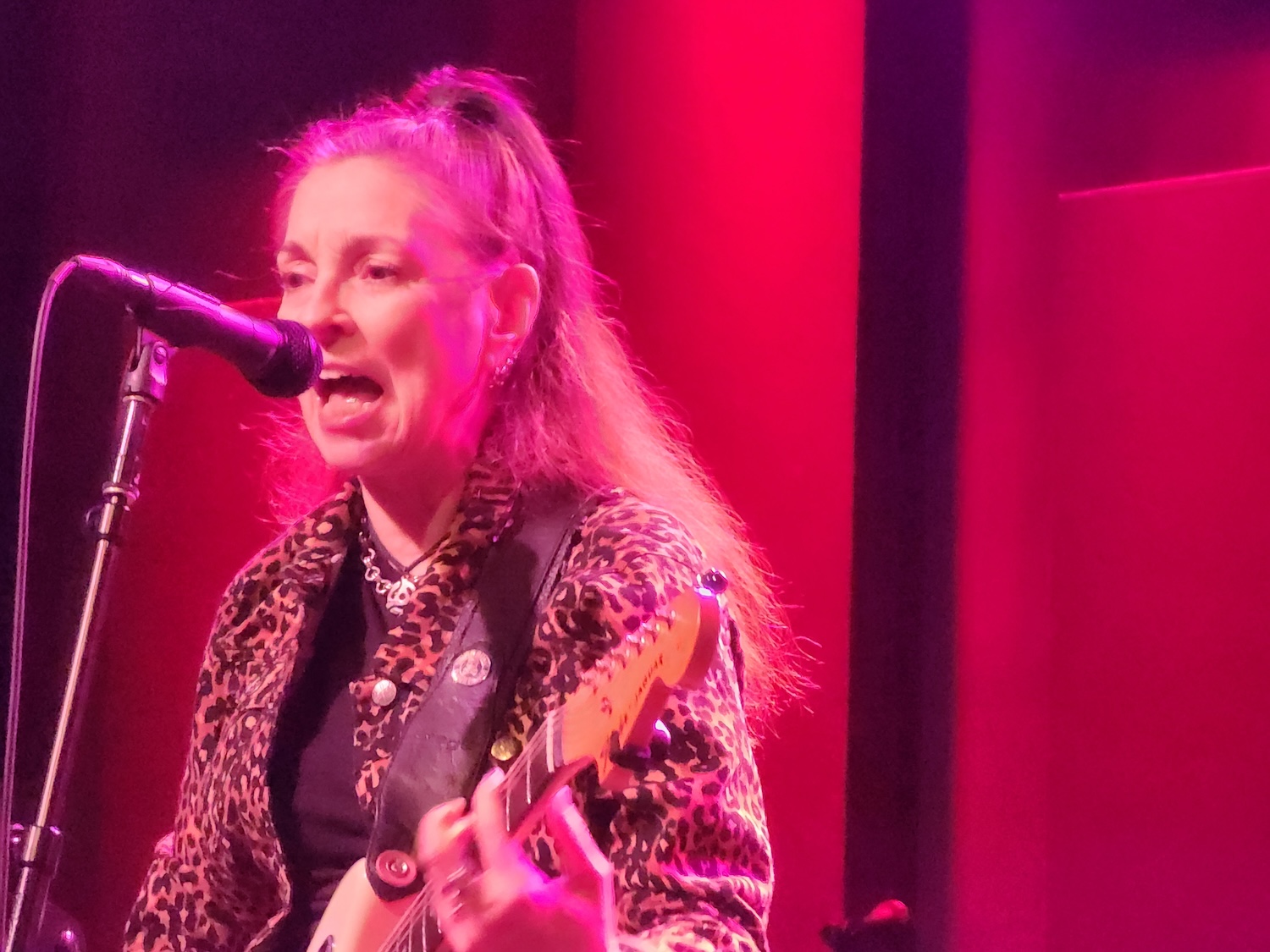 Live Review: The Ben Vaughn Quintet, Palmyra Delran And The Doppel Gang ...