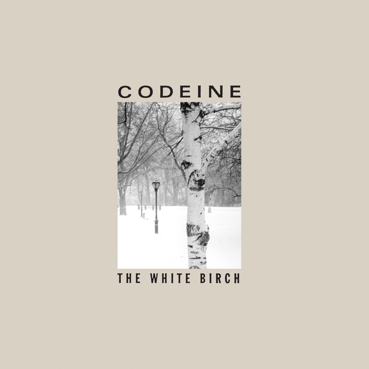 Codeine Released Final Album "The White Birch" 30 Years Ago Today ...