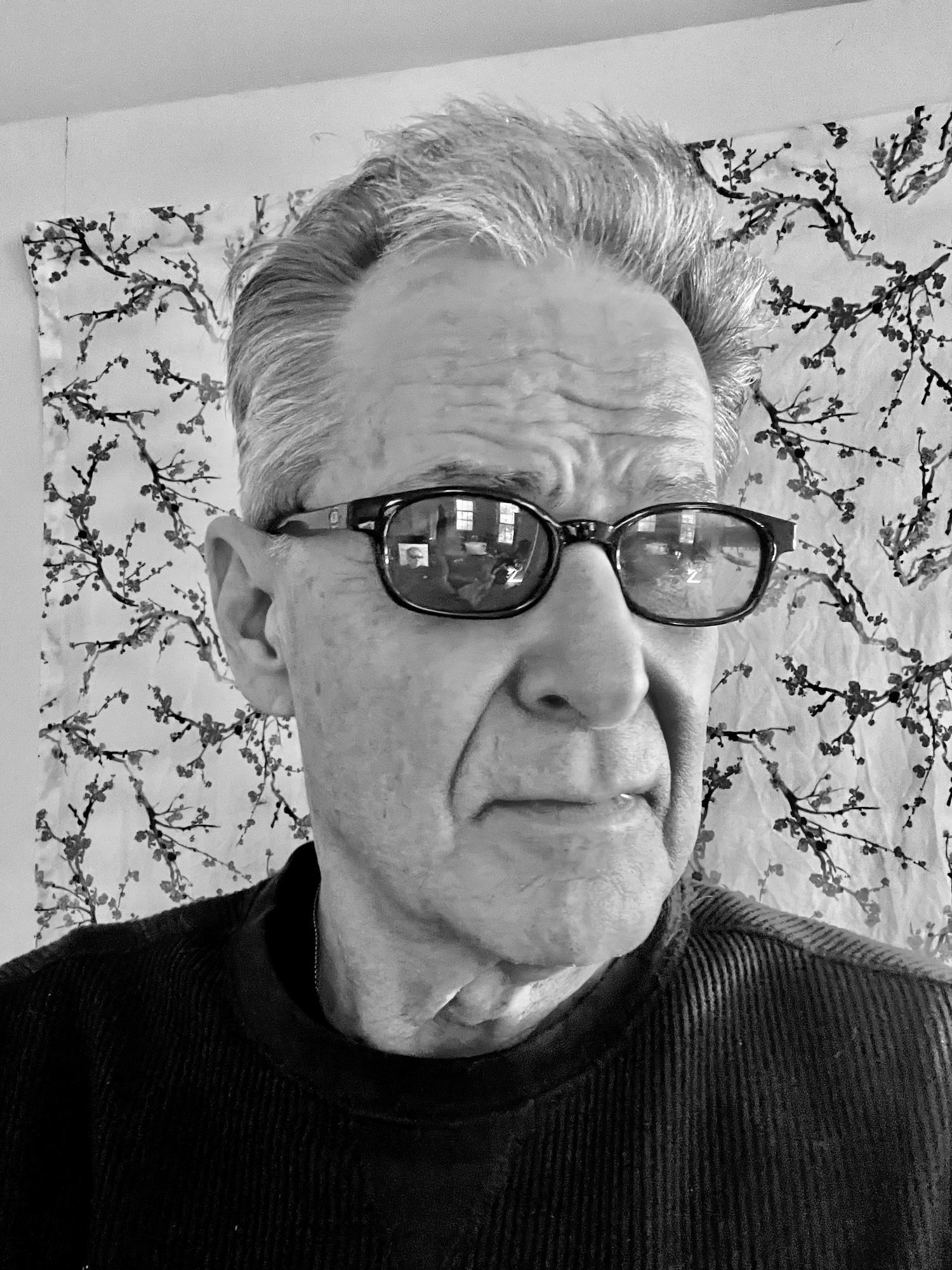 Five Questions With Robert Darlington (Translator) | Rock'd Magazine